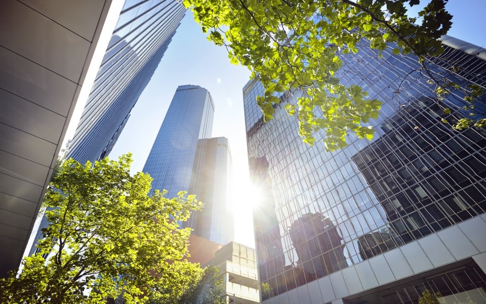 Home | MLC Asset Management